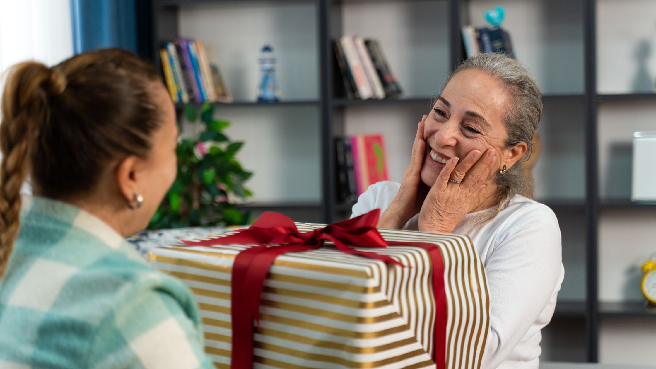 50 Best Unusual Gifts for Elderly Ladies in 2023 - JetSet Sidekick
